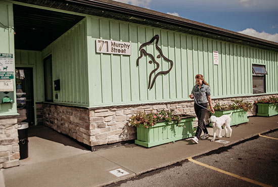 About Us - Quinte Animal Hospital