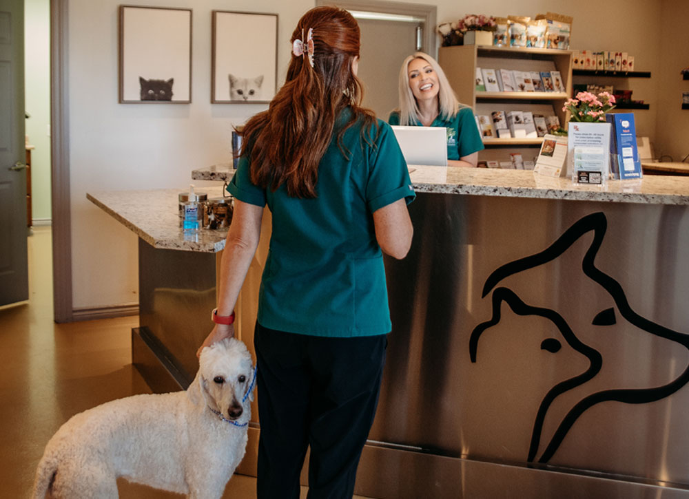 Products - Quinte Animal Hospital